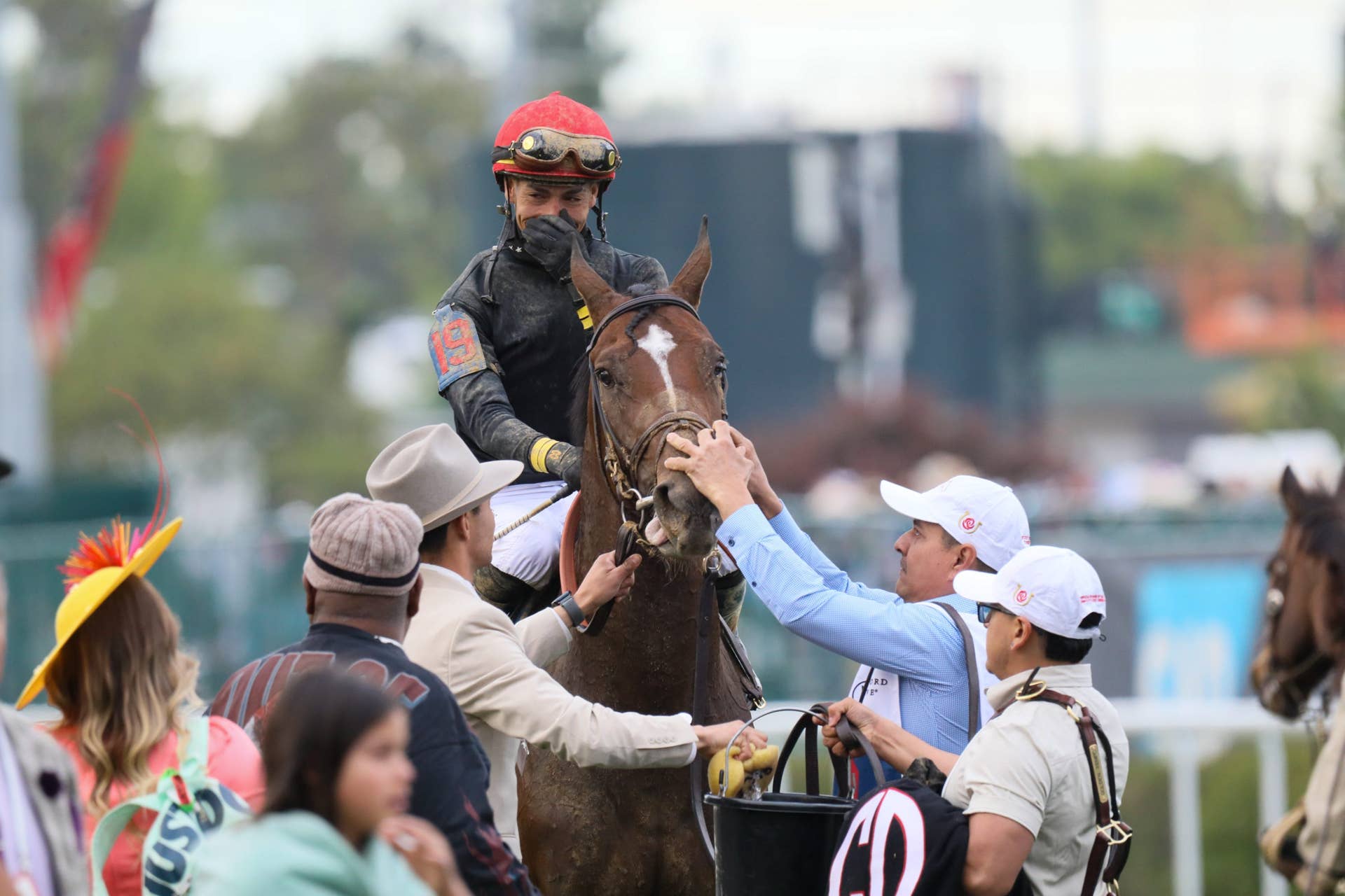 Kentucky Derby Winner Golden Tempo Receives Belmont Stakes Update After ...